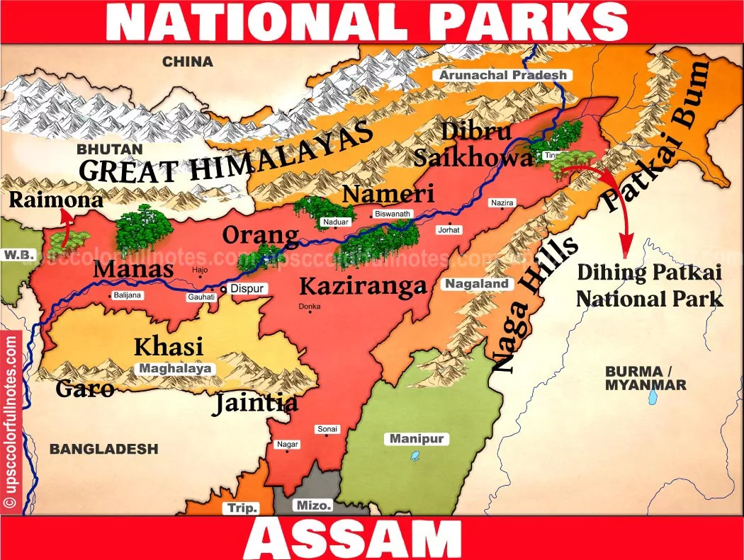 Uncover the Beauty of Orang National Park, Assam - UPSC Colorfull notes