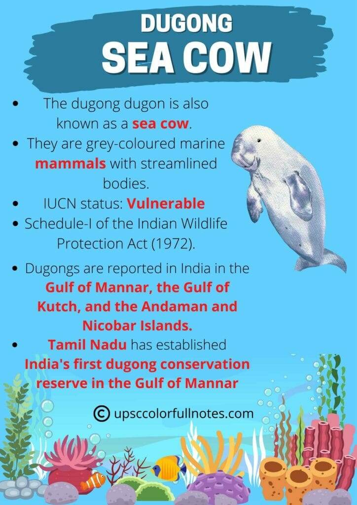 First ever Dugong reserve in India to help protect species - UPSC ...